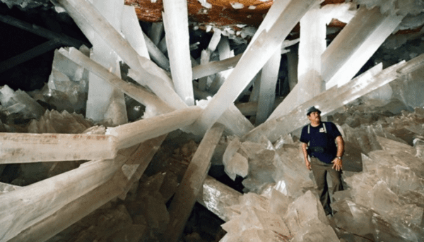 Selenite Crystals | The Ultimate Purification Crystal