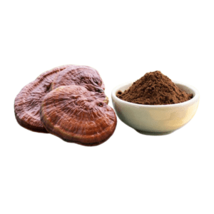 Nature's Remedies: Hidden Medicinal Magic Of Healing Herbs And Plants ...